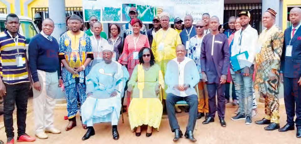 Cameroon Business Today | Production de maïs: L’Irad investit sur les ...